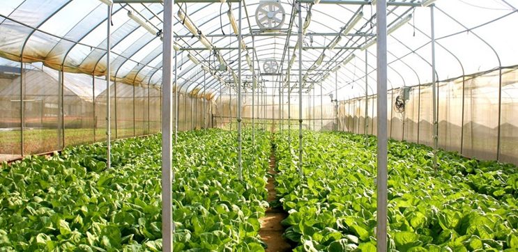 Nur Jamal Group of Industries